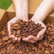 2-LB Bag - Smokin' Pecan - Pecan Shell Pellets